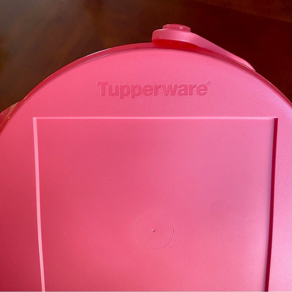 Tupperware | Kitchen | Tupperware Handled Container With Lid | Poshmark
